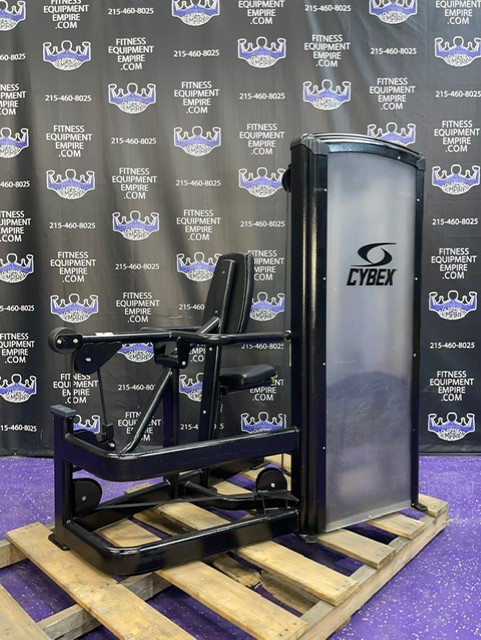 Buy Cybex VR3 Seated Dip Chest & Tricep Press w/Swivel Handles Online ...