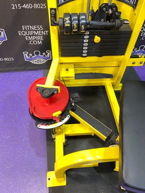 Buy Strive Rotary Torso - RARE Online | Fitness Equipment Empire