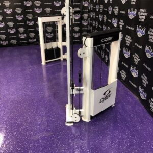 Buy Cybex Galileo Dual Adjustable Pulley Cable Crossover w/Pull-up 300 ...