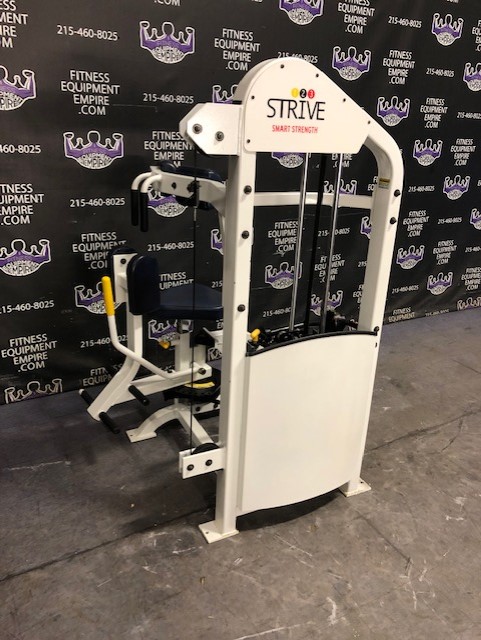 Buy Strive Rotary Torso - RARE Online | Fitness Equipment Empire
