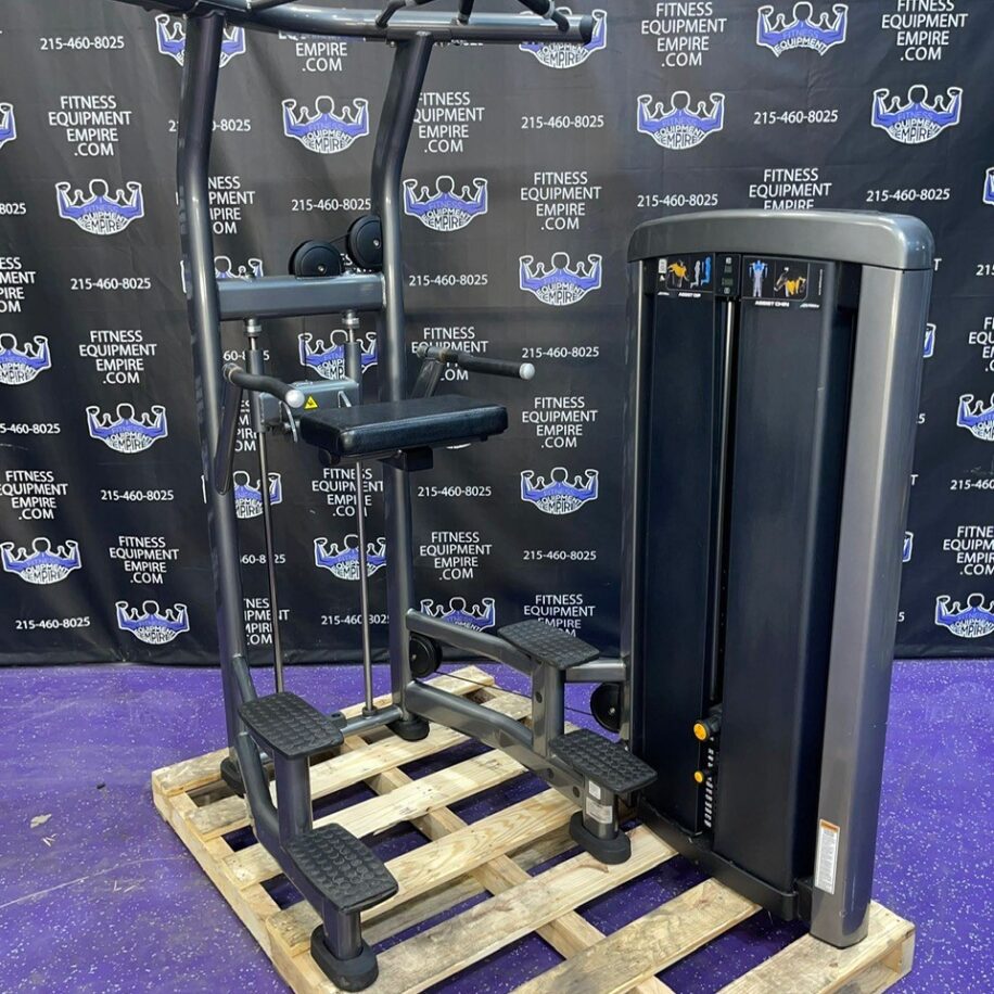 Buy Life Fitness Insignia Assisted & Bodyweight Dip & Pull-up Machine ...