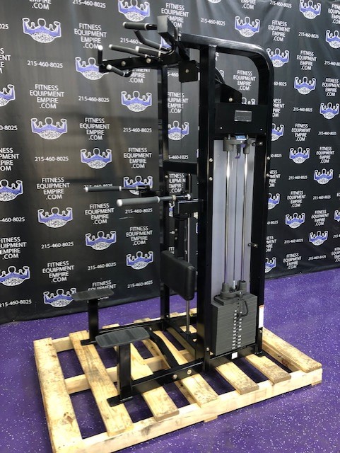 Buy Hammer Strength Select Assisted & Free Weight Dip & Pull-up Combo ...