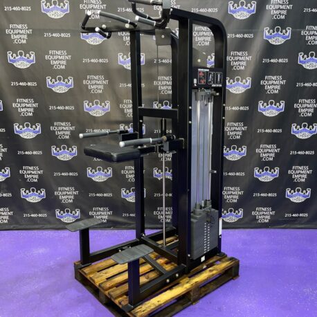 Buy Hammer Strength Select Assisted & Free Weight Dip & Pull-up Combo ...