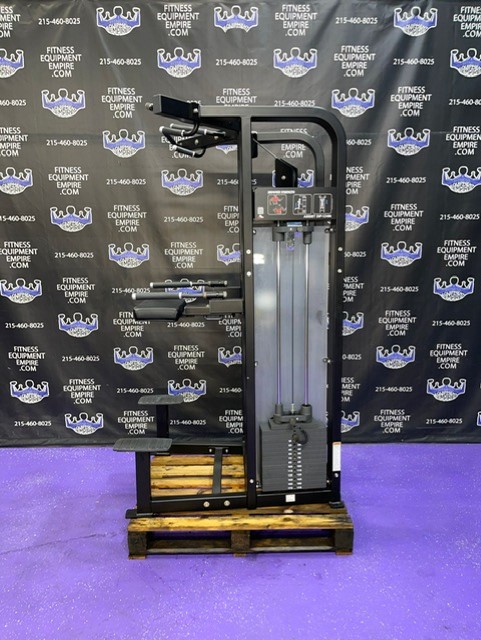 Buy Hammer Strength Select Assisted & Free Weight Dip & Pull-up Combo ...