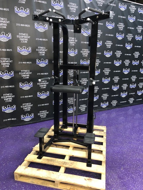 Buy Hammer Strength Select Assisted & Free Weight Dip & Pull-up Combo ...