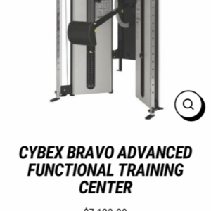 Buy Cybex Bravo 8800 Dual Adjustable Pulley Functional Trainer Online ...