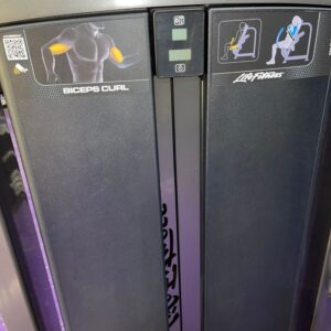 Buy Life Fitness Insignia Series Bilateral Bicep Curl - Newest Series ...