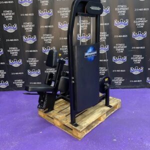 Buy Magnum Biangular Seated Row w/Swivel Handles & 315 lb. Stack – RARE ...