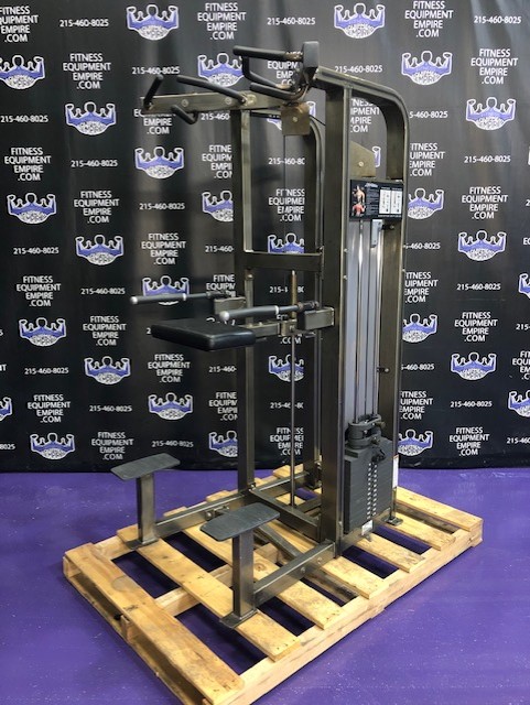 Buy Life Fitness Pro 2 Assisted & Free Weight Dip & Pull-up Machine ...