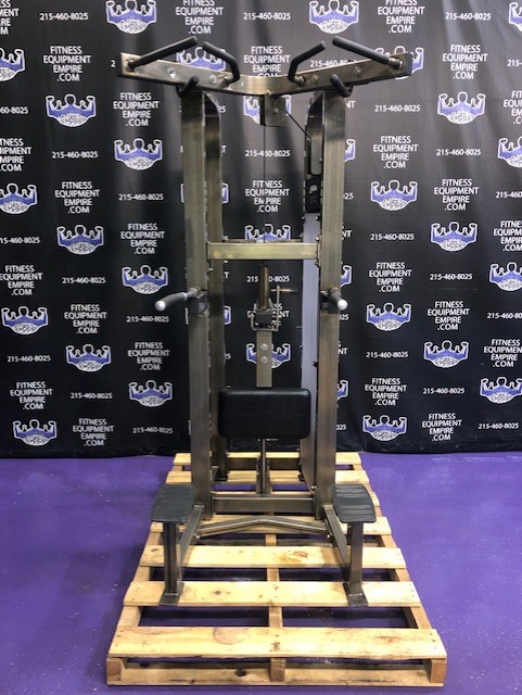 Buy Life Fitness Pro 2 Assisted & Free Weight Dip & Pull-up Machine ...