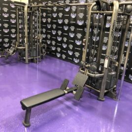 Buy Life Fitness Signature Series MJ8 Jungle Gym w/Dual Pulley Lat ...