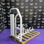 Buy Nautilus Nitro Plus Compound Row w/Swivel Handles Online | Fitness ...