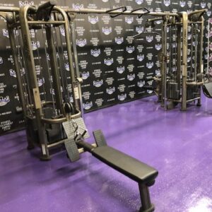 Buy Life Fitness Signature Series MJ8 Jungle Gym w/Dual Pulley Lat ...
