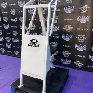 Buy Cybex Classic Row & Rear Delt Online | Fitness Equipment Empire