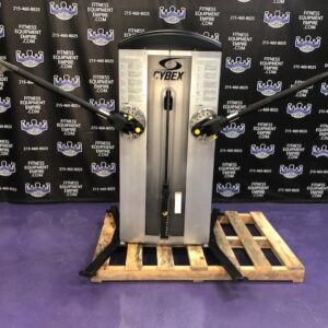 Buy Cybex FT 360 Functional Trainer Dual Pulley Cable Crossover – 300 ...