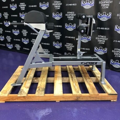Buy Cybex GHD GHR Glute Ham Raise/Developer - Demo - Just Released ...