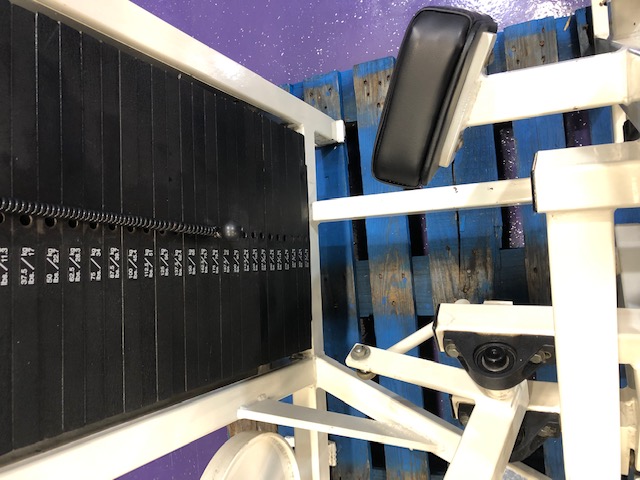 Buy Magnum Biangular Seated Row w/315 lb. Stack - RARE Online | Fitness ...