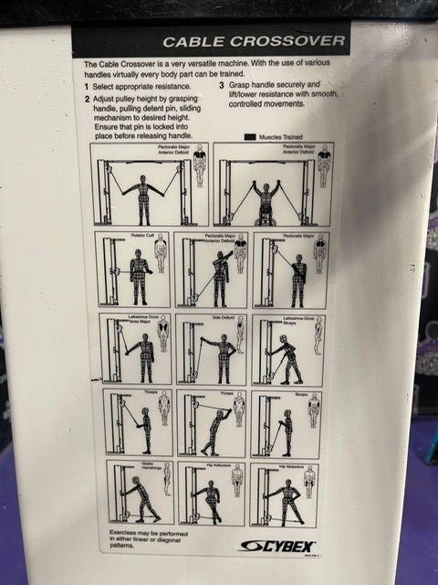 Buy Cybex Modular 4 Stack Dual Pulley Cable Crossover Jungle Gym Online ...