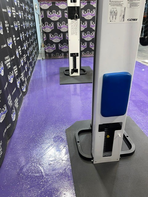 Buy Cybex Modular 4 Stack Dual Pulley Cable Crossover Jungle Gym Online ...