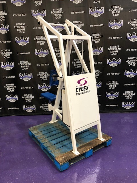Buy Cybex Classic Row & Rear Delt Online | Fitness Equipment Empire
