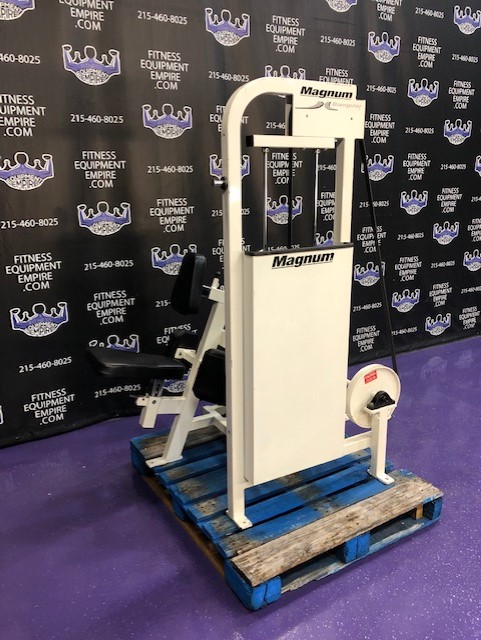 Buy Magnum Biangular Seated Row w/315 lb. Stack - RARE Online | Fitness ...