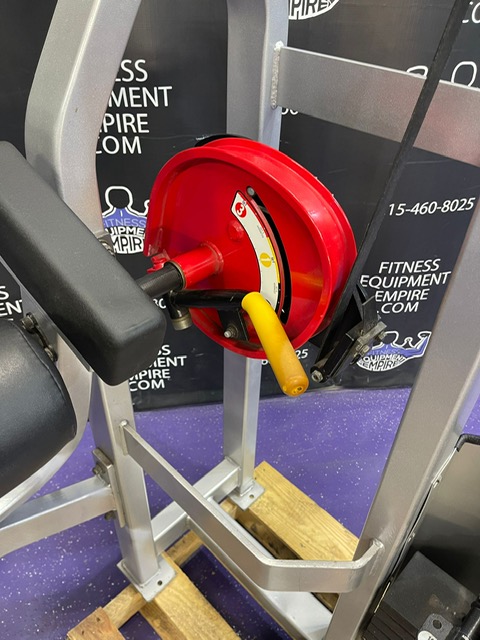 Buy Strive Original Prime Smart Strength Bicep Curl Online | Fitness ...