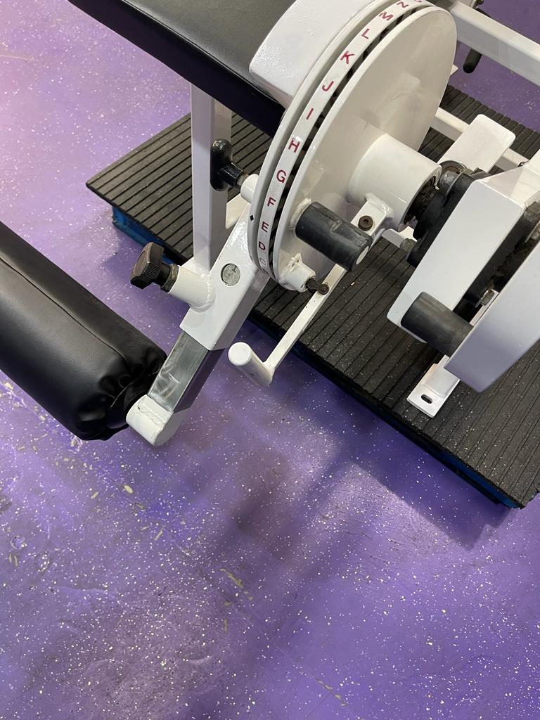 Buy Bodymasters MD 111 Prone Lying Leg Curl Online | Fitness Equipment ...