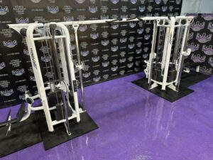Buy Life Fitness Signature Series MJ8 Jungle Gym w/Dual Pulley Lat ...