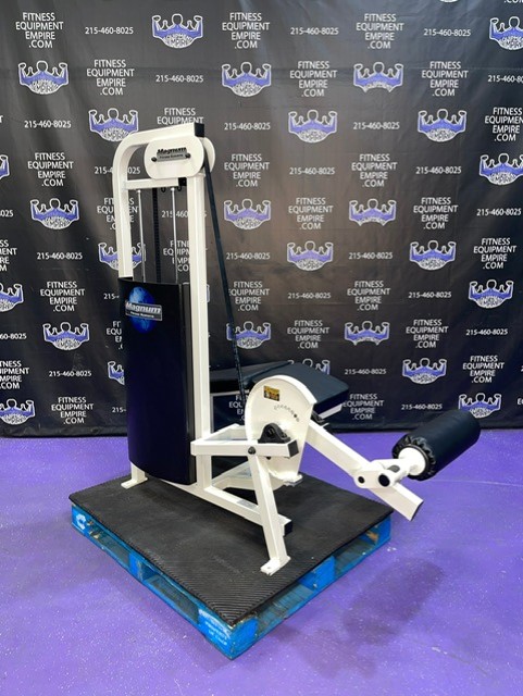 Buy Magnum Prone Lying Leg Curl - Clean Online | Fitness Equipment Empire