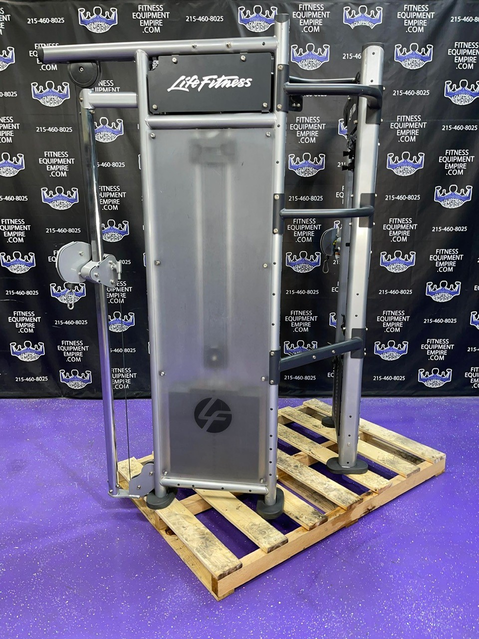 Buy Life Fitness Signature Series Platinum CMDAP Dual Adjustable Pulley ...