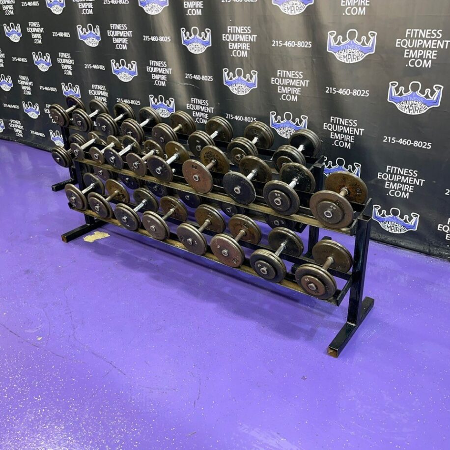 Buy Life Fitness Signature Series Prostyle Dumbbell Racks w/Saddles ...