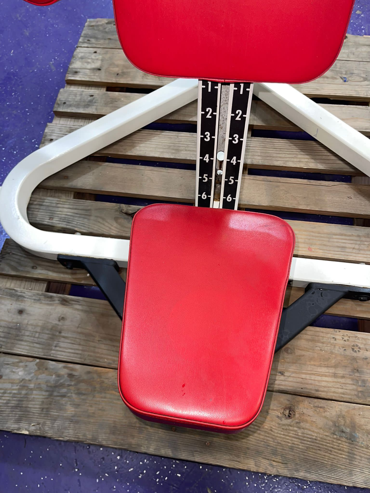 Buy Cybex Plate Loaded Tricep Arm Extension - RARE Online | Fitness ...