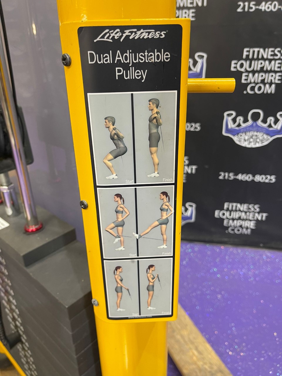 Buy Life Fitness Signature Series CMDAP Functional Trainer Online ...