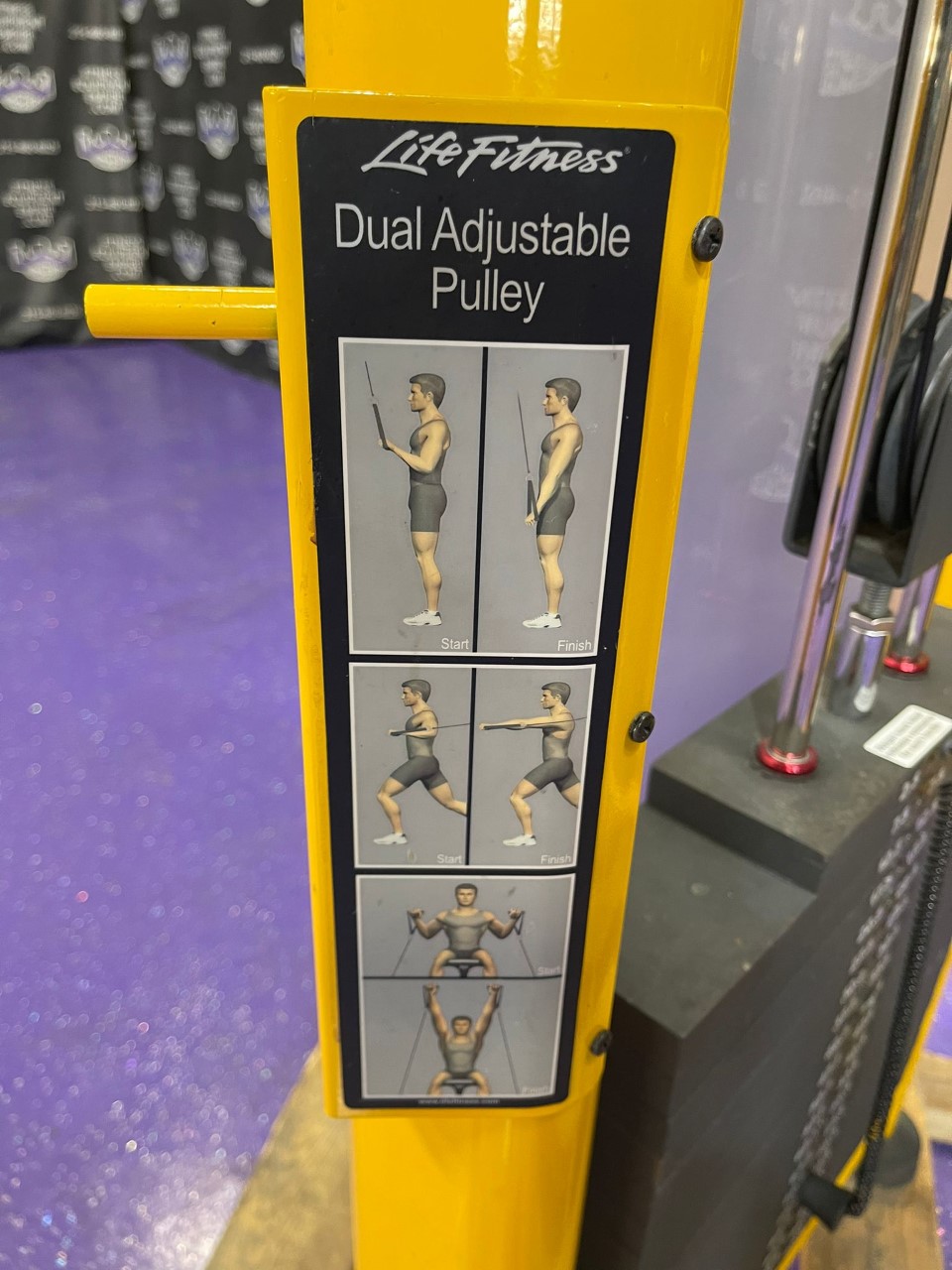 Buy Life Fitness Signature Series CMDAP Functional Trainer Online ...