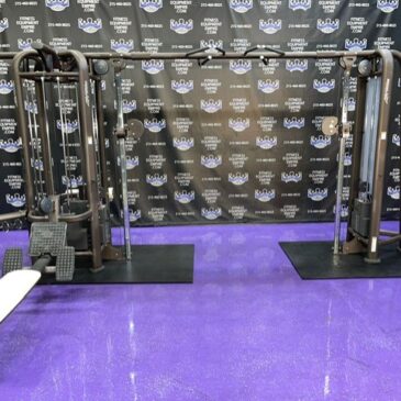 Buy Life Fitness MJ5 Insignia Series 5 Stack Jungle Gym Cable Crossover ...
