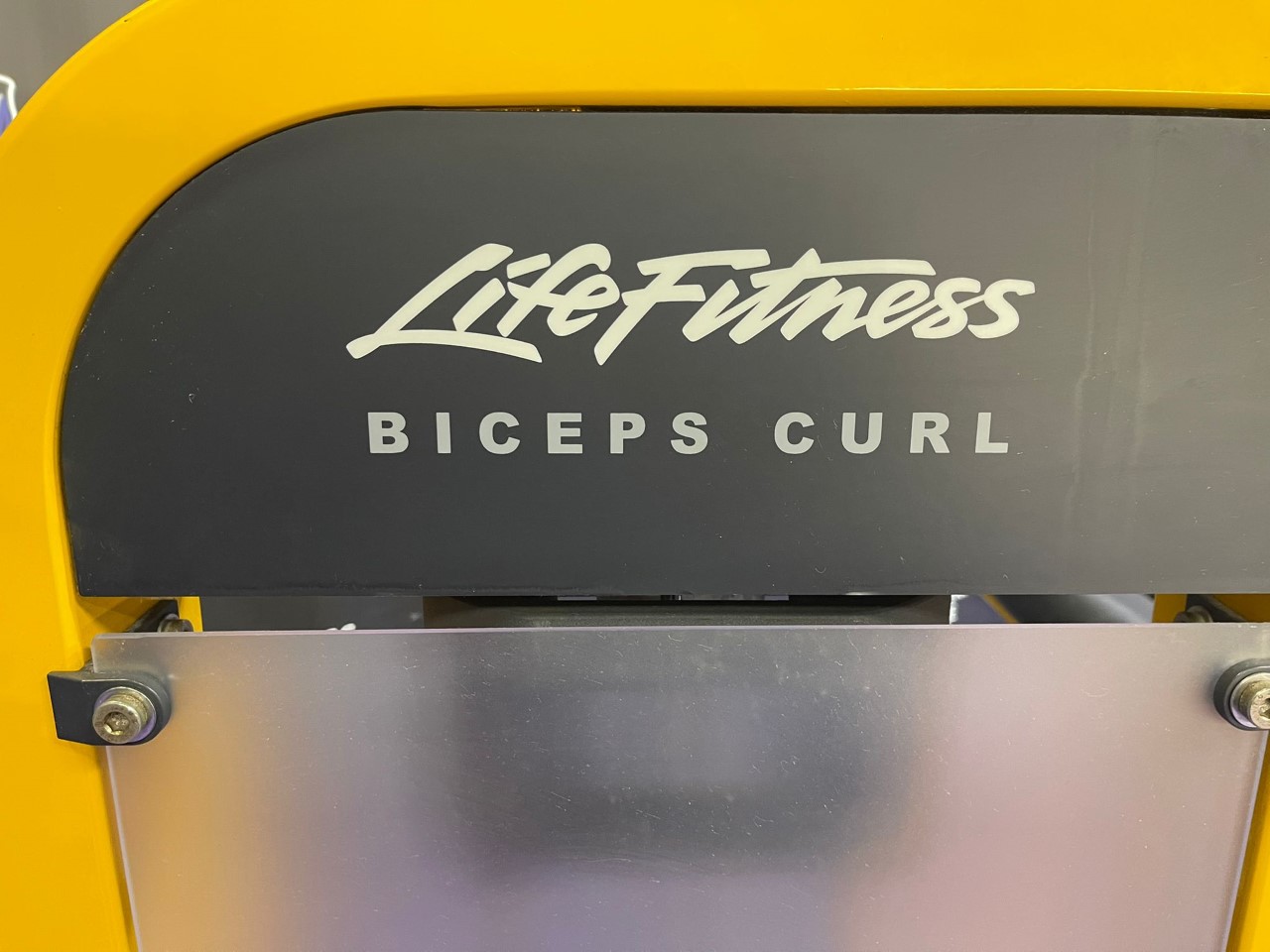Buy Life Fitness Pro 2 SE Bicep Curl Online | Fitness Equipment Empire