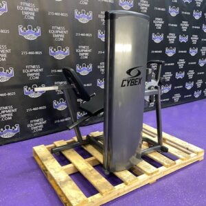 Buy Cybex VR1 Leg Extension & Leg Curl 2 in 1 Combo Machine - Space ...