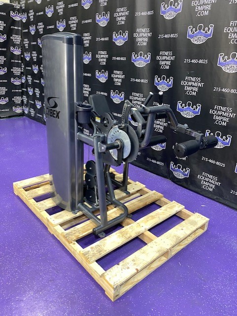 Buy Cybex VR1 Leg Extension & Leg Curl 2 in 1 Combo Machine - Space ...