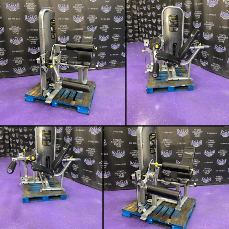 Buy Inflight Commercial Leg Extension & Leg Curl Combo Machine - Space ...