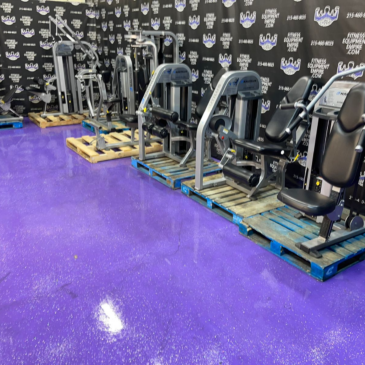 Buy David Abdominal Machine - RARE Online | Fitness Equipment Empire