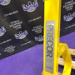 Buy Precor Dip & Leg Raise – Chest Abs Triceps & Obliques Online ...