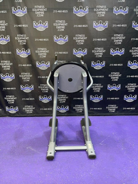 Buy Life Fitness Signature Series Bosu Leg Raise Online | Fitness ...