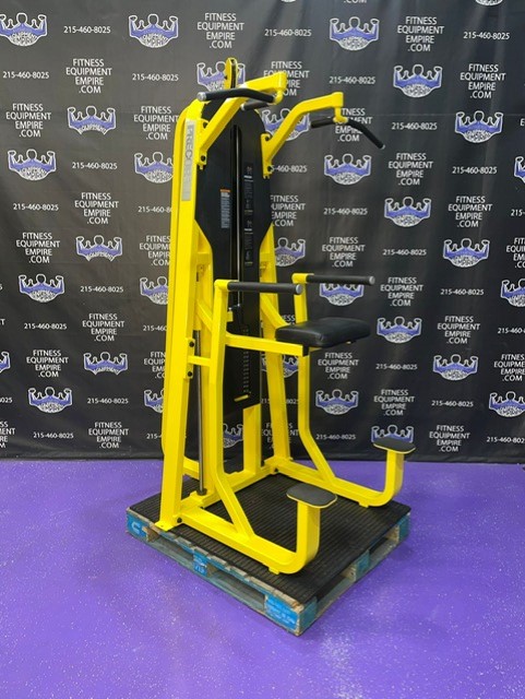 Buy Precor Icarian 320 Assisted Dip & Pull-up Machine Online | Fitness ...