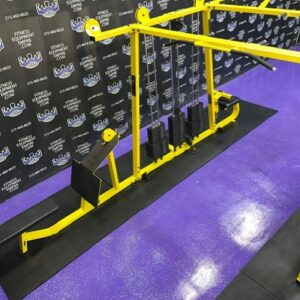 Buy Precor Icarian 6 Stack Cable Crossover Jungle Gym Online | Fitness ...