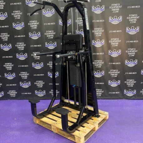 Buy Precor Icarian 320 Assisted Dip & Pull-up Machine Online | Fitness ...