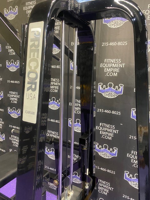 Buy Precor Icarian 320 Assisted Dip & Pull-up Machine Online | Fitness ...