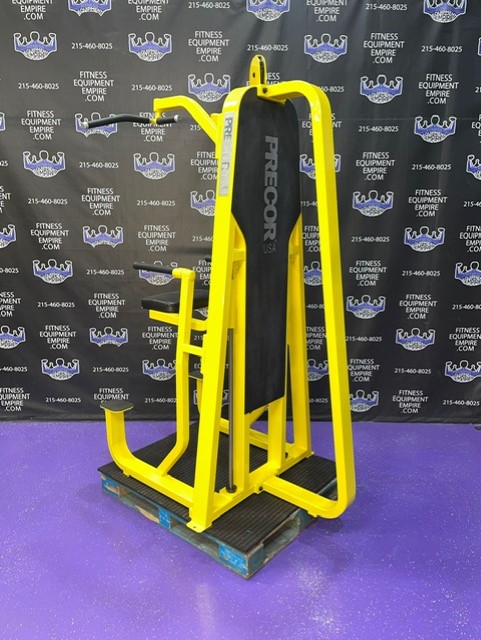 Buy Precor Icarian 320 Assisted Dip & Pull-up Machine Online | Fitness ...