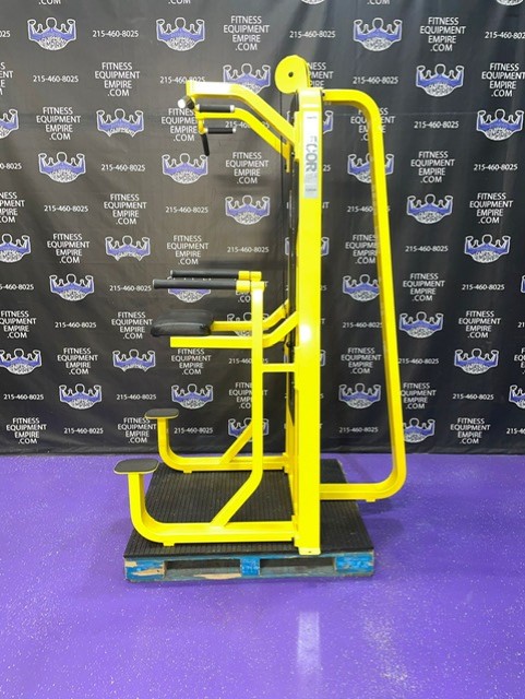 Buy Precor Icarian 320 Assisted Dip & Pull-up Machine Online | Fitness ...