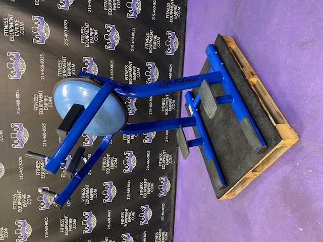 Buy Life Fitness Signature Series Bosu Leg Raise Online | Fitness ...