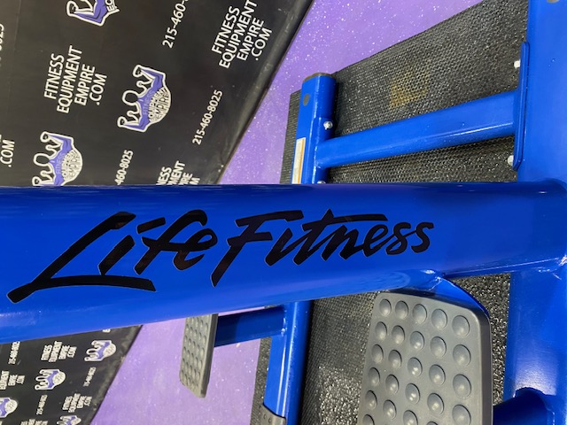 Buy Life Fitness Signature Series Bosu Leg Raise Online | Fitness ...